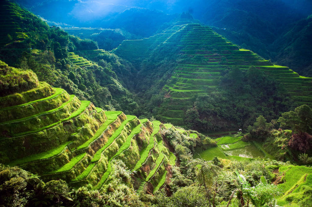 Cordillera (CAR / Cordillera Administrative Region)