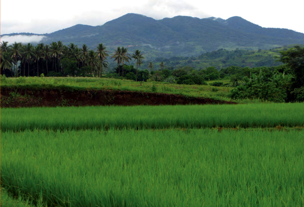 Cagayan Province Galleries